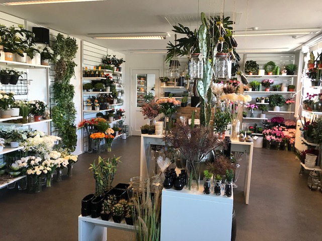 Showroom og butik med kunstige planter | Hilmars - Kunstige Planter